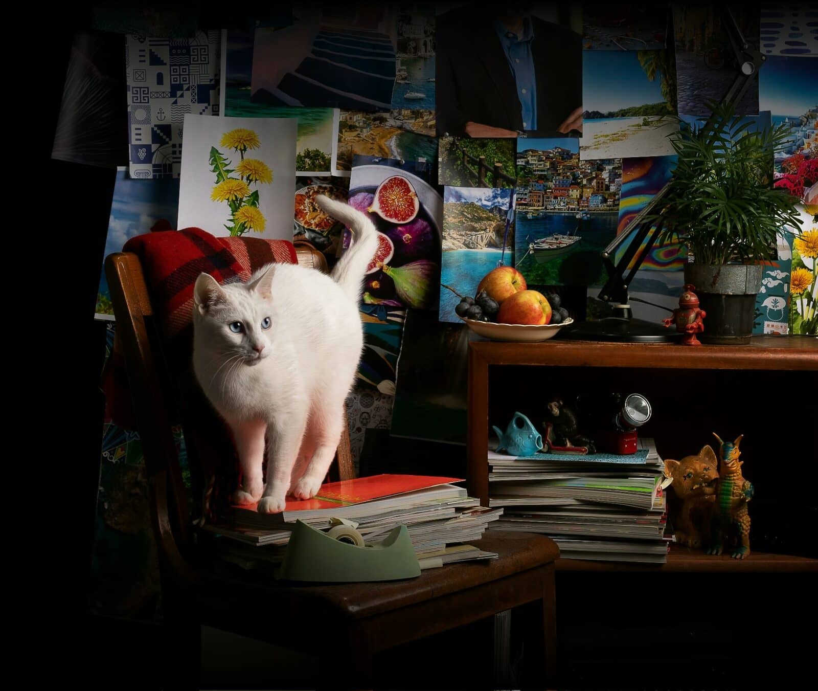 Advertise with Us | American Healthcare Leader